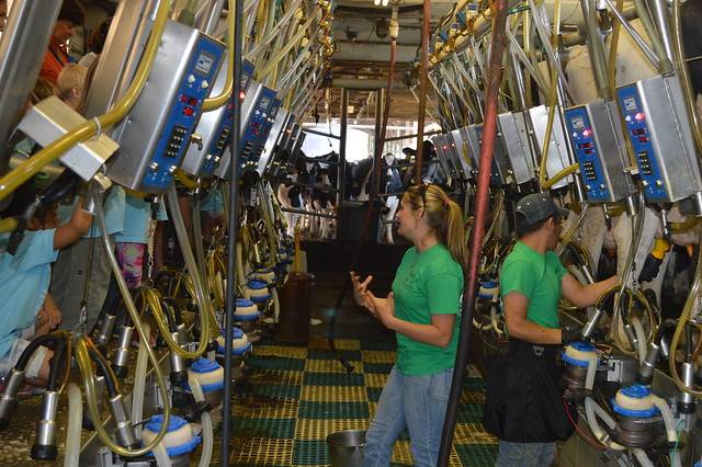 Information Say Dairy Has Modified Sustainable News Sustainability Store information-say-dairy-has-modified-sustainable-news-sustainability-store